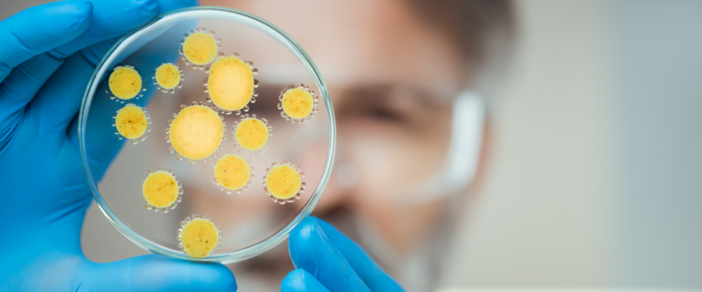 Infectious Diseases | Macon & Joan Brock Virginia Health Sciences EVMS ...