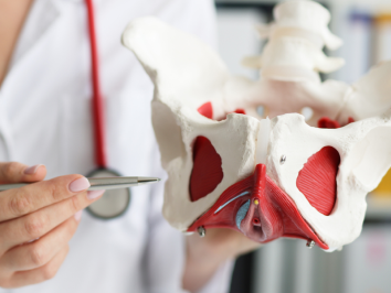 Obstetrics and Gynecology | Macon & Joan Brock Virginia Health Sciences ...